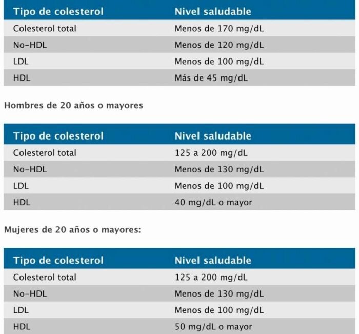 Papel del colesterol total y cómo mantenerlo en niveles adecuados